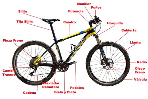 Reglas del ciclismo de montaña conoce cada modalidad Journey Sports