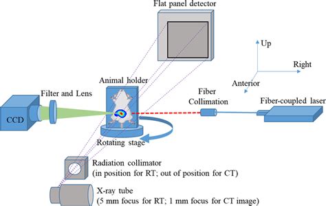 Schematic Diagram Of The Multimodal CT FMT Imaging And Image Guided
