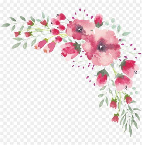 Watercolor Flower Lace Border Transparent Watercolor Flower Border