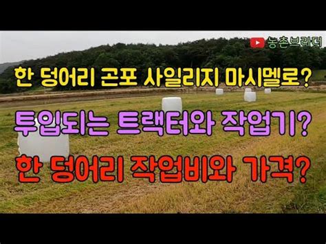 라이그라스 곤포 사일리지 마시멜로 공룡알 만드는 과정 농기계 트랙터 작업기 컨디셔너 베일러 래핑 작업 한 덩어리당 가격 작업비는