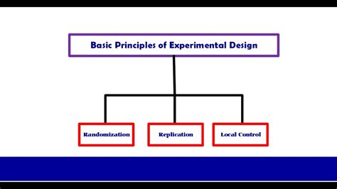 basic principles of experimental design randomization replication and local control youtube