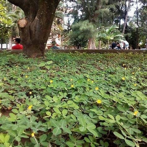 Ella sabía que él sabía que algún día pasaría que vendría a buscarla