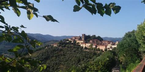 Escursione Ad Anello Pieve A Nievole Montecatini Alto Pieve A