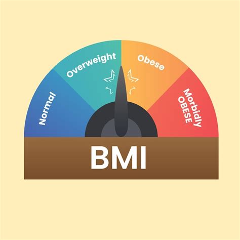 비만 과체중 및 정상 범주에 대한 체질량 지수 Bmi 계산기 프리미엄 벡터