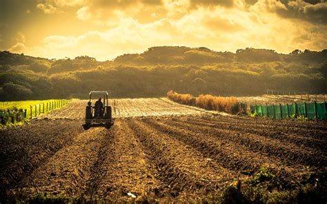 La prelazione agraria cosè e come funziona Casa 360