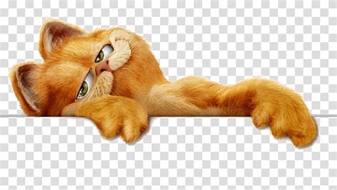 Garfield Illustration Garfield Header Transparent Background PNG