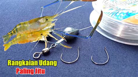 Cara Membuat Rangkaian Pancing Udang Galah YouTube