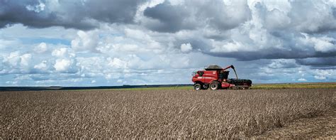 Plano Safra O Que Voc Precisa Saber Cibra Fertilizantes