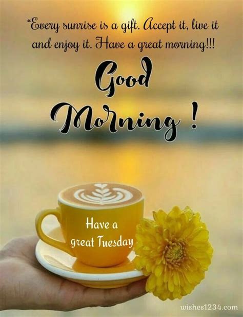 Good Morning Friends Wish You All Blessed Happy Tuesday R