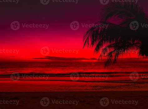 Beautiful Sunset With Palm Trees On The Tropical Sea Beach Pink Sky Background 36365332 Stock