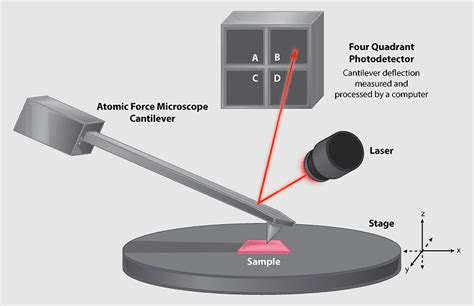 Quantum Tunnelling Scanning Tunneling Microscope Brightfield