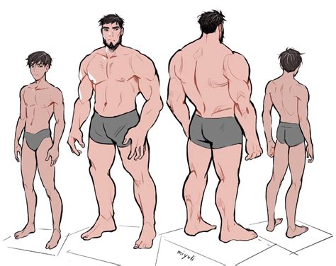 миюли on Twitter Body reference drawing Body type drawing Man anatomy