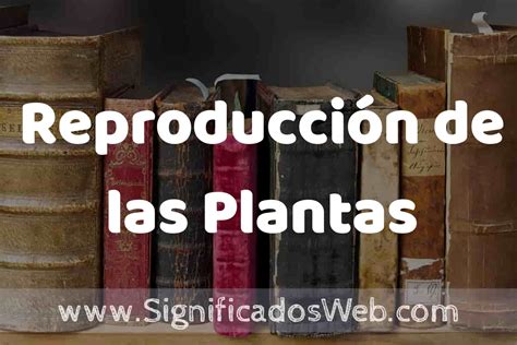 Definición de Reproducción de las Plantas Que es 5 Ejemplos Tipos y