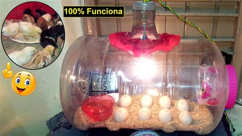 MEJOR Incubadora De Huevos Casera Para Huevos De Gallina 100 Resultado