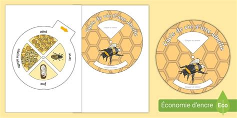 Roue à tourner Le cycle de vie d une abeille Twinkl