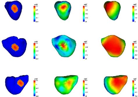 figure 1 from a new method for choosing the regularization parameter in the transmembrane