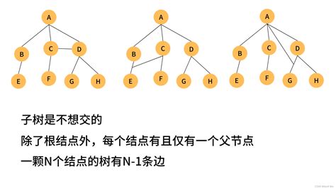 数据结构入门 — 树的概念与结构 树形结构常见的方法有哪些 csdn博客