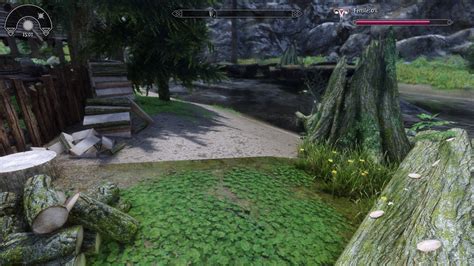 skyrim se for beginners v 3 1 9 3bbb hdt smp hph page 203 skyrim special edition