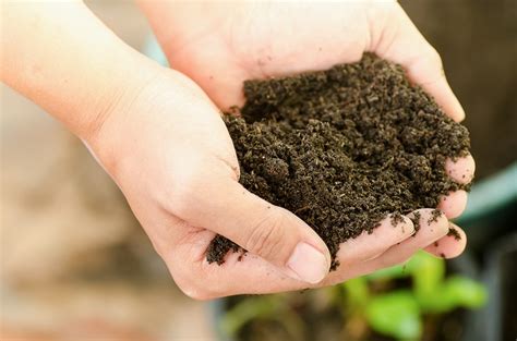 What Is Soil Made Of Educational Resources K Learning Earth Science