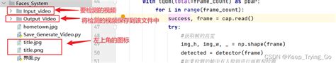 借助tkinter设计人脸检测的界面（摄像头检测，视频检测，视频检测并保存） python tkinter人脸识别界面 csdn博客