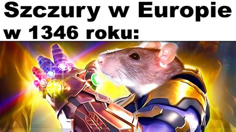 Dzienna Dawka MEMÓW 86 Polskie memy 2024 Memy po Polsku YouTube