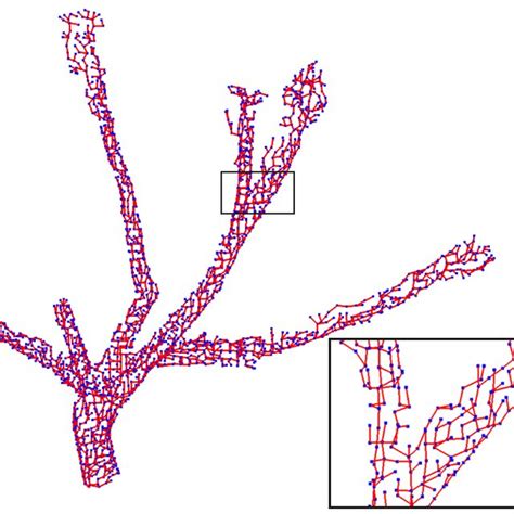 overview of our skeletonization method a raw point cloud b octree download scientific