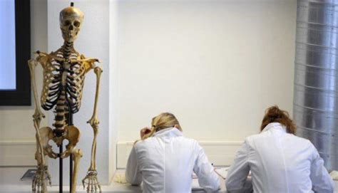 Slagen Voor De Toelatingsproef 2024 Doe Je Zo Rebus