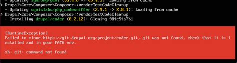 Running Composer Install Dev In Site Root Does Not Finish With
