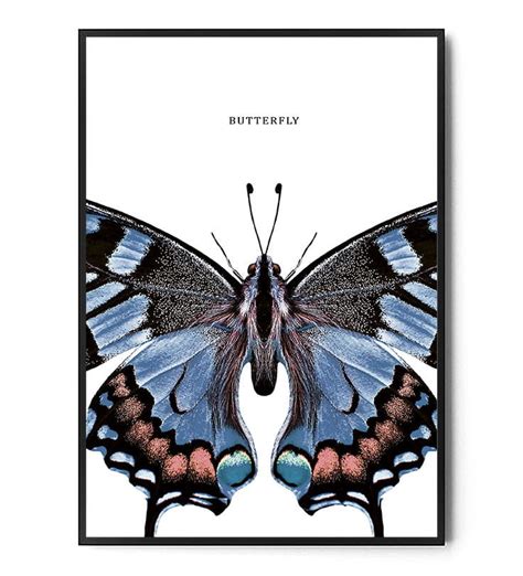 Fox Art Studio Plakat Motyl Wymiary 30x40 Cm FOX ART STUDIO