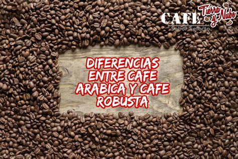 Diferencias entre el Café Variedad Arábica y Café de Variedad Robusta
