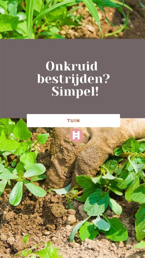 Onkruid Bestrijden Simpel