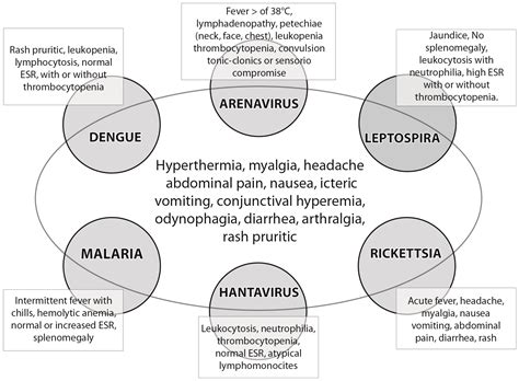 Haemorrhagic Fevers Transmitted By Vectors In The Neotropics IntechOpen