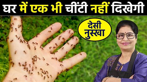 मतर 10 म बनय चट भगन क 100 असरदर नसख लल चट क अत