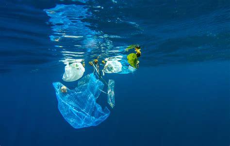 Plastica Il Vero Impatto Dalla Produzione Allo Smaltimento