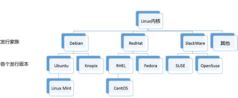 linux内核版本和发行版本 知乎