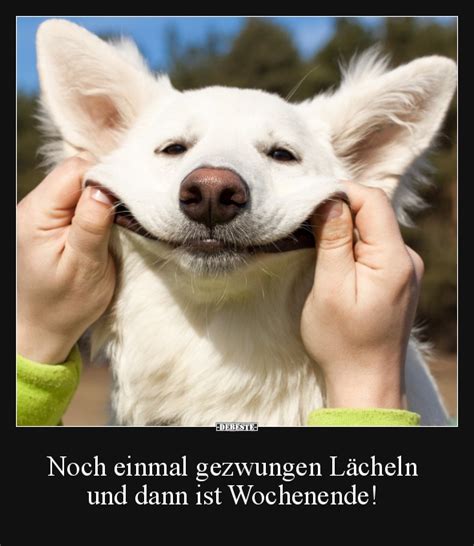 37 Hast Echt Ein Schönes Lächeln Sprüche Wir haben 100 schöne lächeln