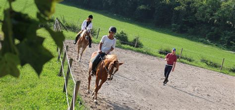 Agriturismo Con Maneggio E Cavalli In Lombardia Le Sorgive