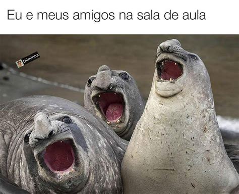 Eu E Meus Amigos Na Sala De Aula Memes