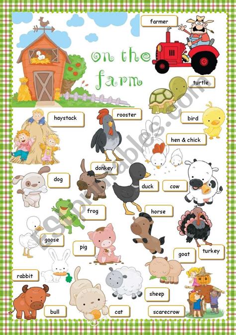 On The Farm Esl Worksheet By Rose