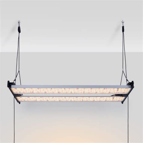Oświetlenie LED do uprawy roślin z wtyczką 250W Możliwość