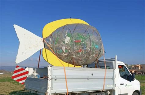 Pesce Mangia Plastica A Campo Di Mare Iniziate Le Operazioni Di