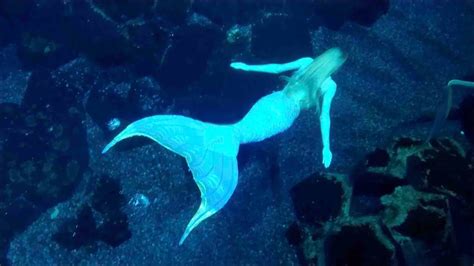 La Sirene Vrai Daiti