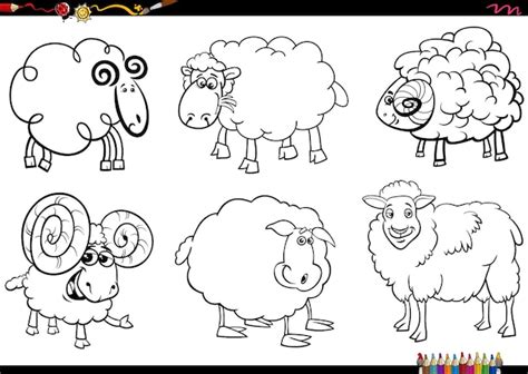 Página para colorear de personajes de animales de granja de ovejas de
