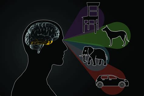what is object recognition a comprehensive guide to v