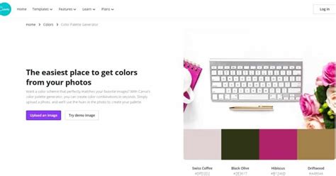 Create The Right Color Palette For Your Business With Free Canva