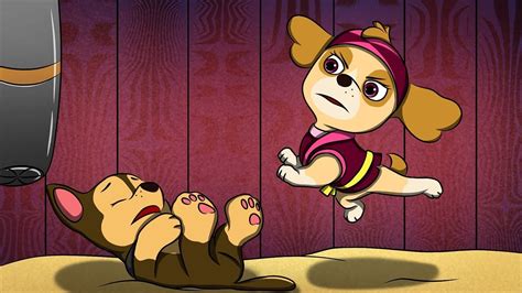 Chase And Skye Are Training Kung Fu Paw Patrol Fanmade Coloring Story