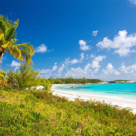 10 Best Islands To Travel To In The Bahamas Narcisa Rusu