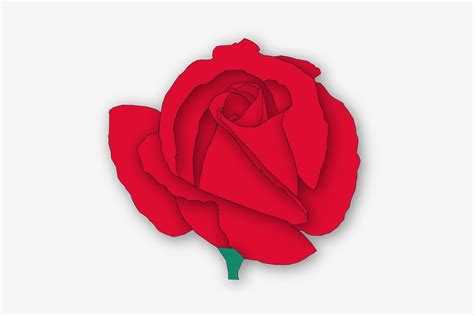 Rose Flower Cartoon Pics Best Flower Site