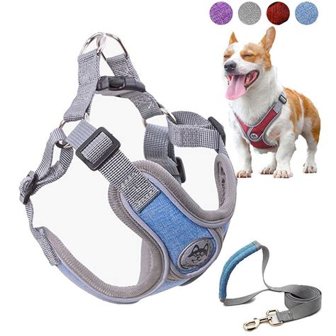 Coleira Peitoral Para Cachorro Pet Colete Refletivo Guia M Shopee