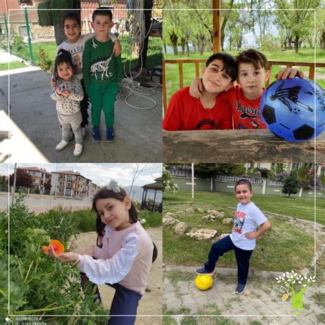 İTÜ Eta Vakfı Doğa Koleji Erzincan on Twitter Çalışkan arılarımız